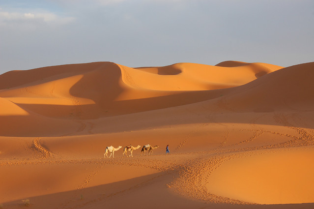 Ateliora.com - photographic portal, photo galleries, photoblogs, photo ...